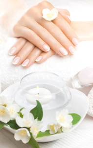 Home - Cincinnatinail