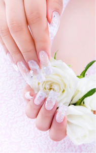 Home - Cincinnatinail